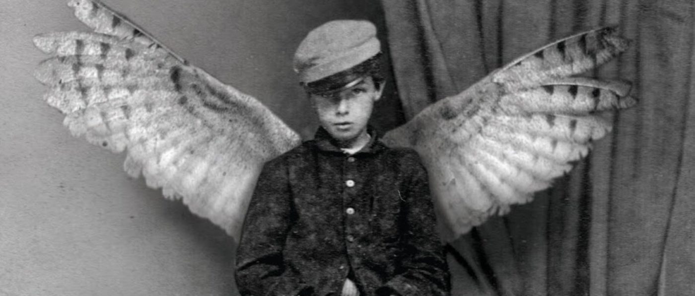 Library of Souls Review – Death of the Author